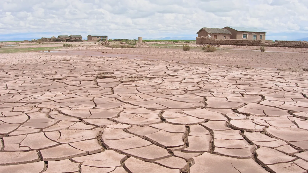 O que é desertificação? O fenômeno avança em ritmo alarmante e a ...
